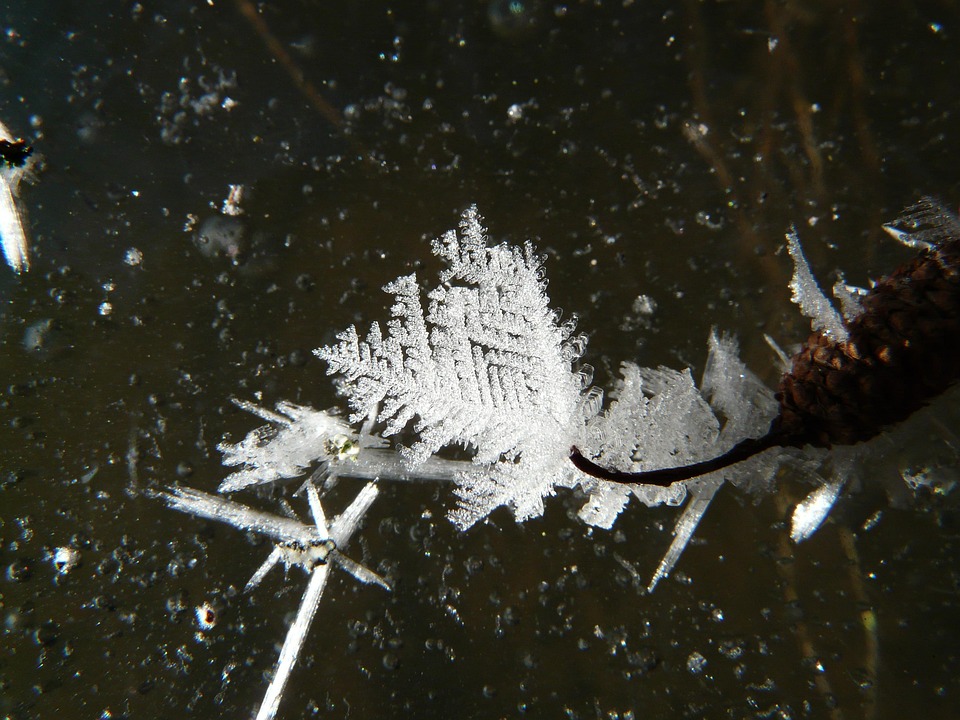 Ice Crystal Cream Frozen - Free photo on Pixabay