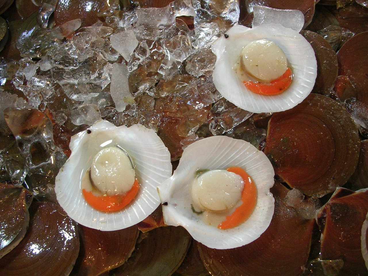 Mariscos Hielo Nuevo Fruto De - Foto gratis en Pixabay - Pixabay