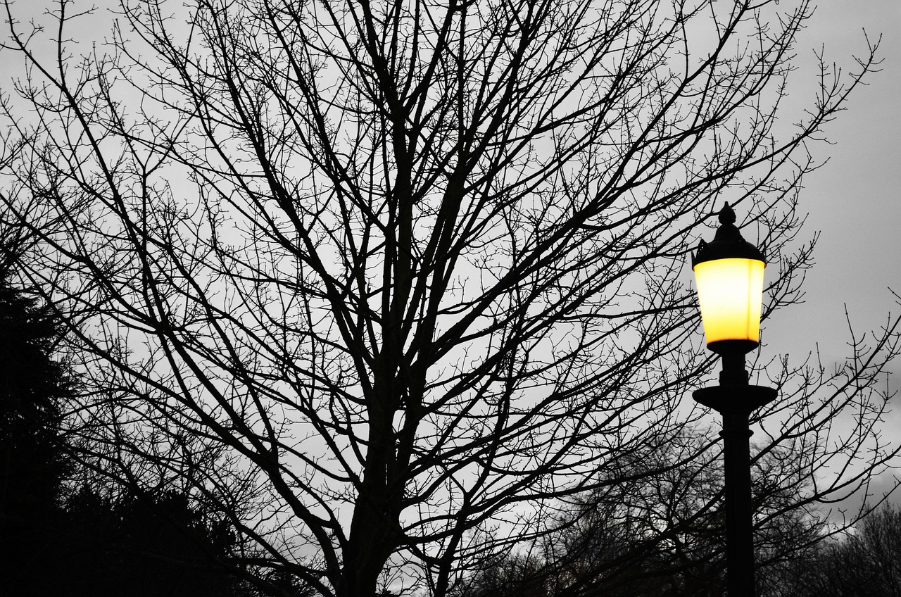 Tree Lamp Light - Free photo on Pixabay - Pixabay