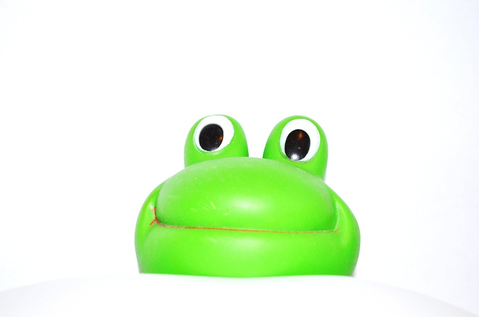 Frog Happy Green - Free photo on Pixabay - Pixabay