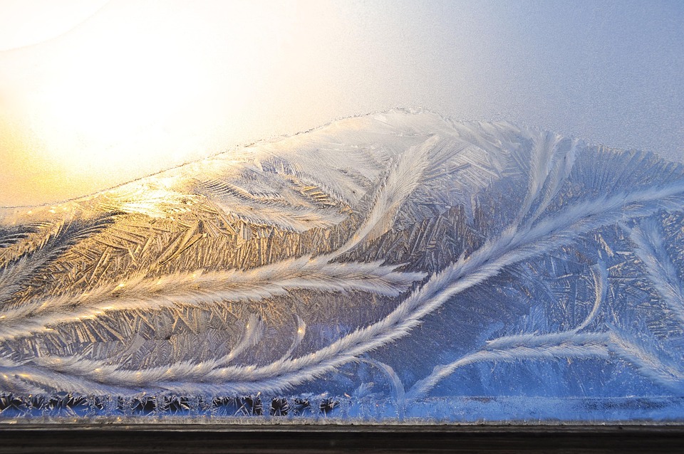 Frost Patterns Ice - Free photo on Pixabay
