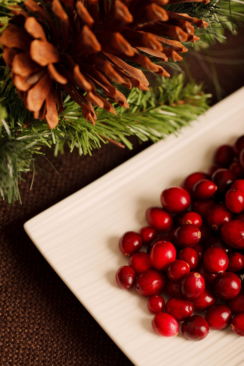 Christmas Background Berry - Free photo on Pixabay - Pixabay