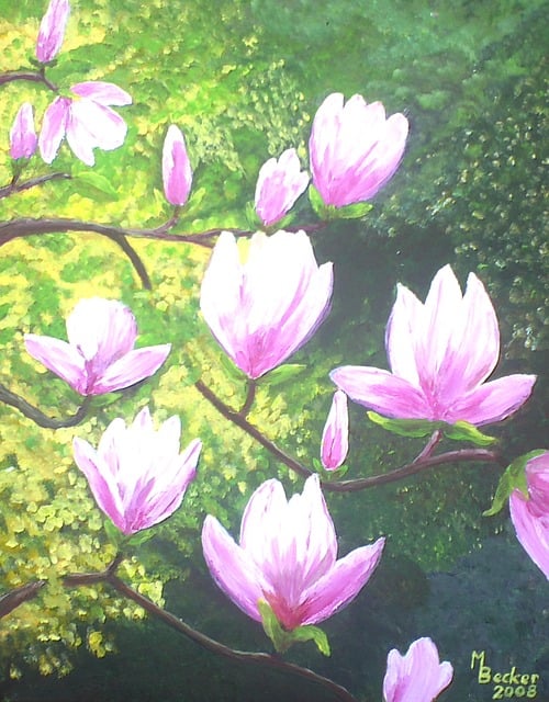 Magnolien Gemälde Bild - Kostenloses Bild auf Pixabay - Pixabay