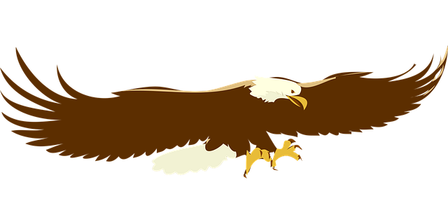 Burung Rajawali Botak Pendaratan - Gambar vektor gratis di Pixabay ...