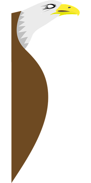 Burung Rajawali Kepala - Gambar vektor gratis di Pixabay - Pixabay