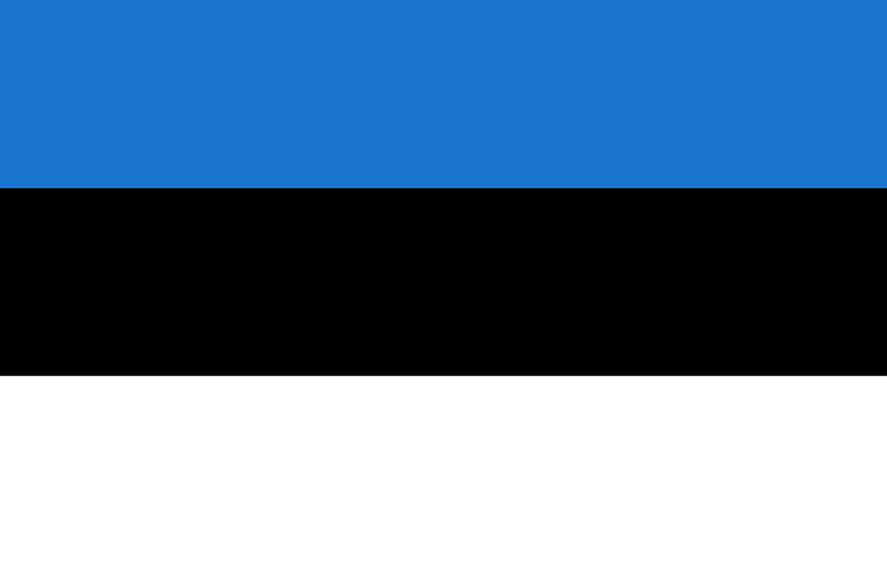 Download Estonia, Flag, Estonian. Royalty-Free Vector Graphic - Pixabay