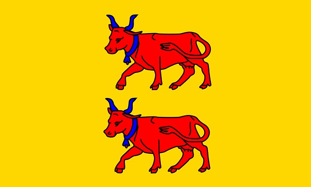 Viscounts Von Bearn Flagge Wappen - Kostenlose Vektorgrafik auf Pixabay ...
