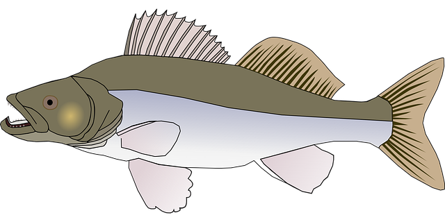 10,000+ Free Perch & Nature Images - Pixabay