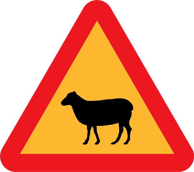 Sheep Crossing Roadsign Road Sign - Free vector graphic on Pixabay