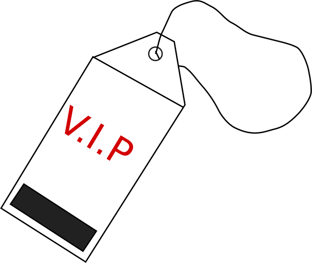 Download Tag, Vip, Luggage. Royalty-Free Vector Graphic - Pixabay