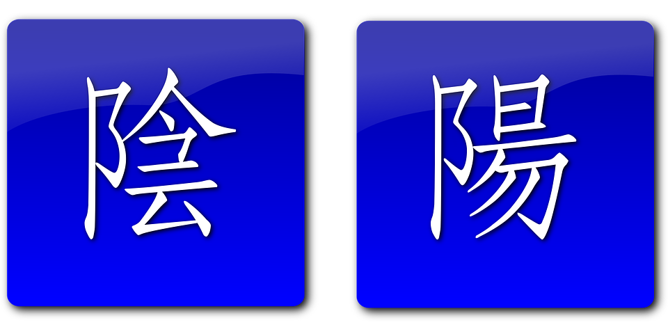Download Yang Yin Symbols Royalty-Free Vector Graphic - Pixabay