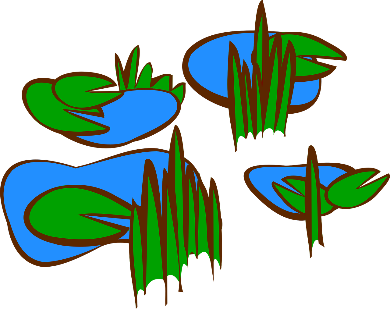 Lily Pad Pond Cartoon