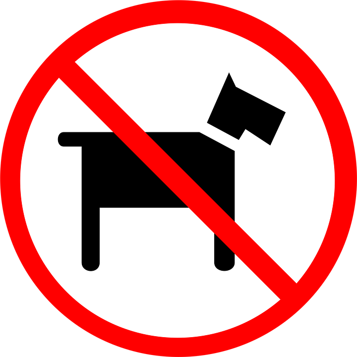 no animals allowed