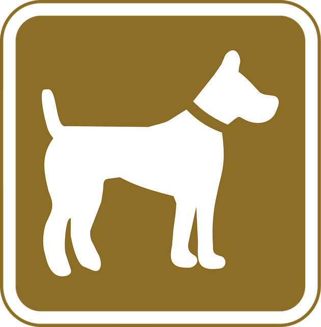 Plus de 300 000 images de Pictogramme Animaux et de Pictogramme - Pixabay