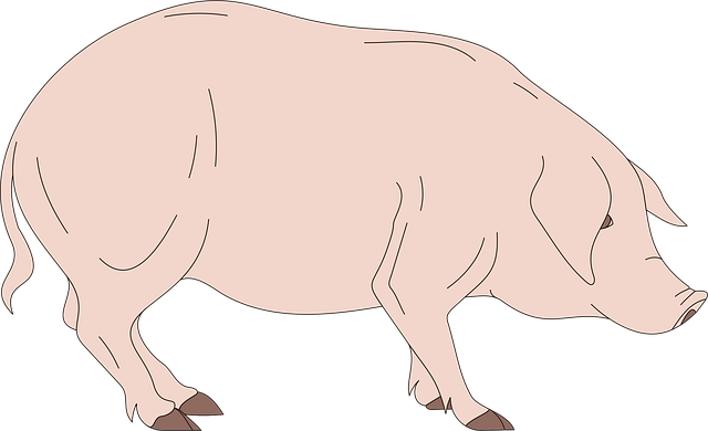 Download Barn, Pig, Side. Royalty-Free Vector Graphic - Pixabay