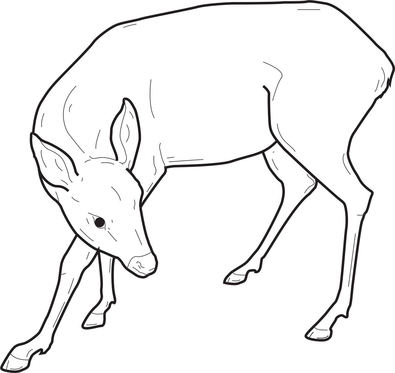 Download Back, View, Deer. Royalty-Free Vector Graphic - Pixabay