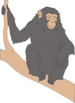 40+ Free Chimpanzee & Monkey Vectors