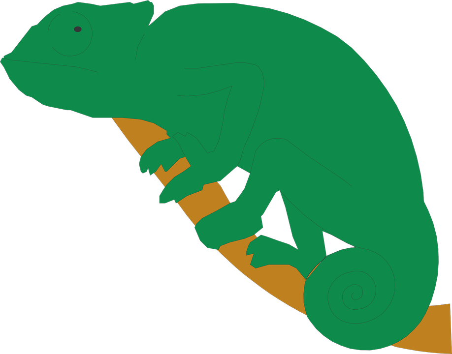 Download Branch, Green, Chameleon. Royalty-Free Vector Graphic - Pixabay