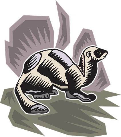 6+ Free Mink & Animal Illustrations - Pixabay