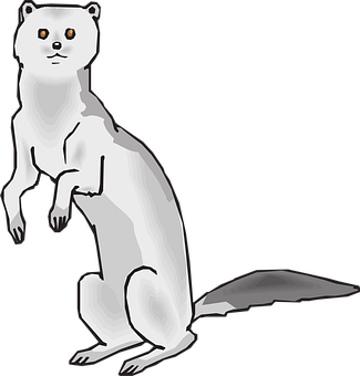 6+ Free Mink & Animal Vectors