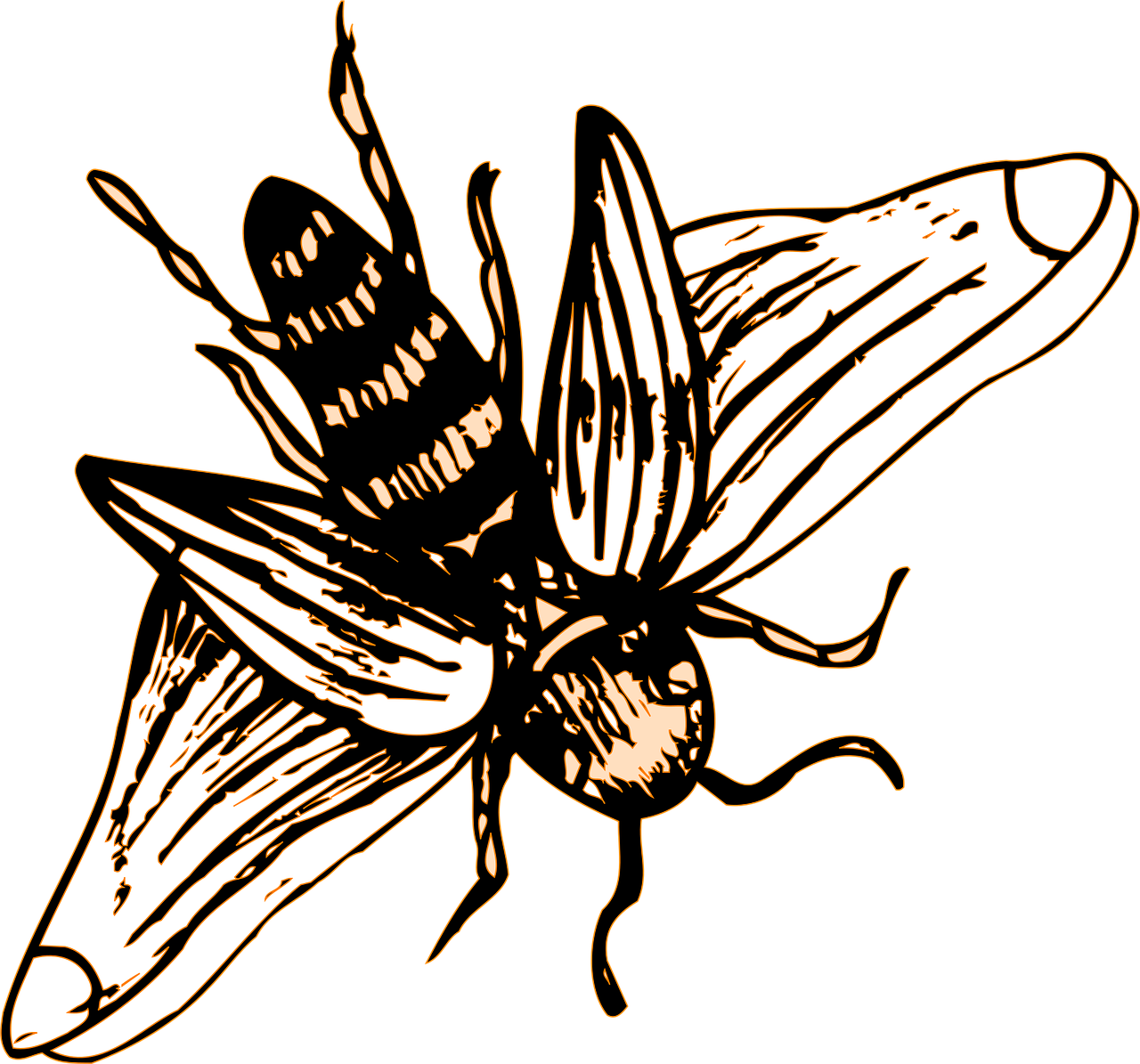 Download Bee, Stripes, Wings. Royalty-Free Vector Graphic - Pixabay