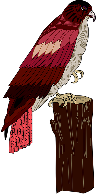 Download Red, Bird, Wings. Royalty-Free Vector Graphic - Pixabay