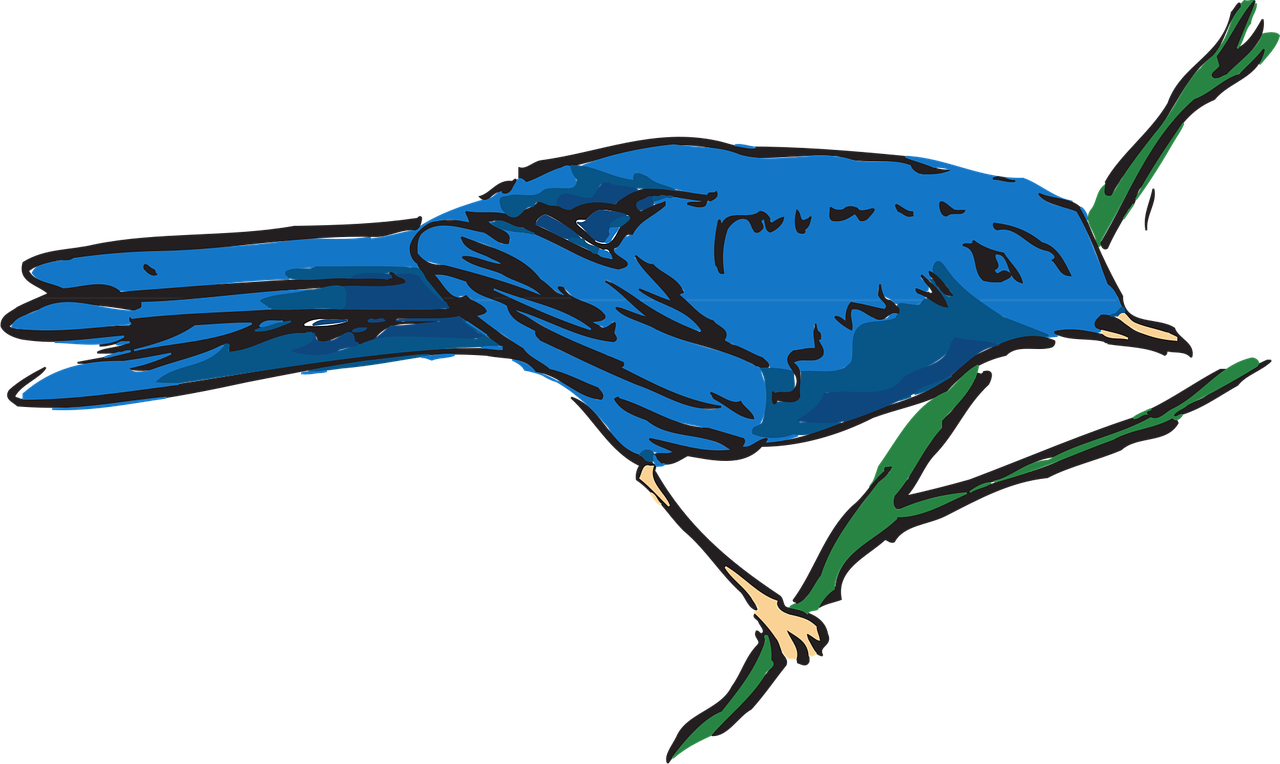 Download Blue, Bird, Wings. Royalty-Free Vector Graphic - Pixabay