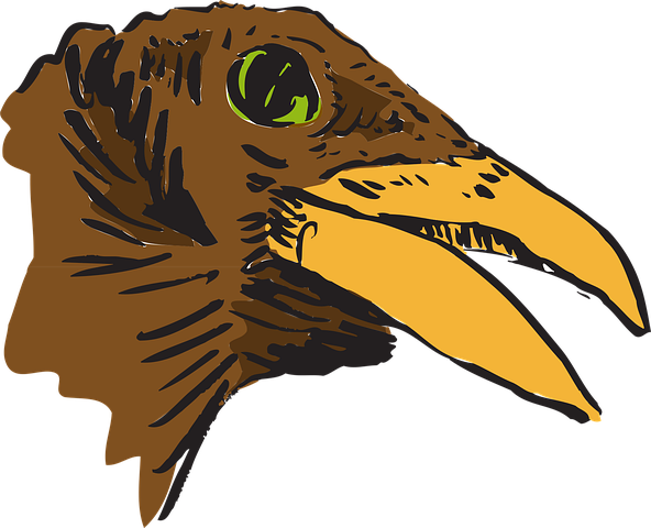 80+ Vektor Kepala Burung & Kepala Gratis - Pixabay