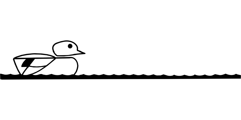 80+ Free Bird Borders & Border Images - Pixabay