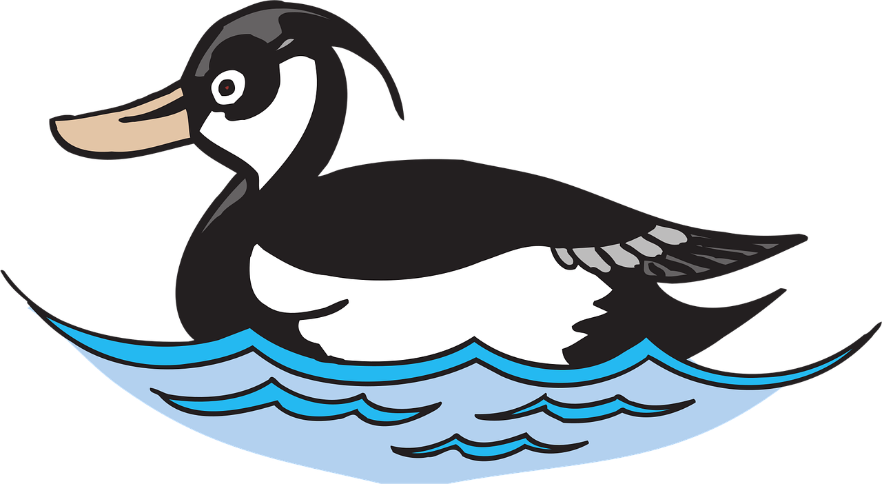 Download Water, Bird, Duck. Royalty-Free Vector Graphic - Pixabay