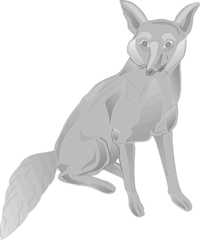 100+ Free White Fox & Fox Images - Pixabay