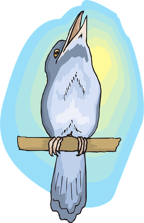 Download Bird, Branch, Wings. Royalty-Free Vector Graphic - Pixabay