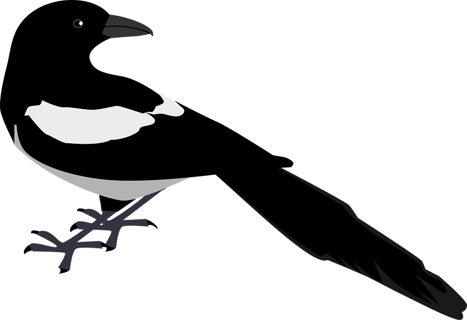 Download Back, Bird, Looking. Royalty-Free Vector Graphic - Pixabay