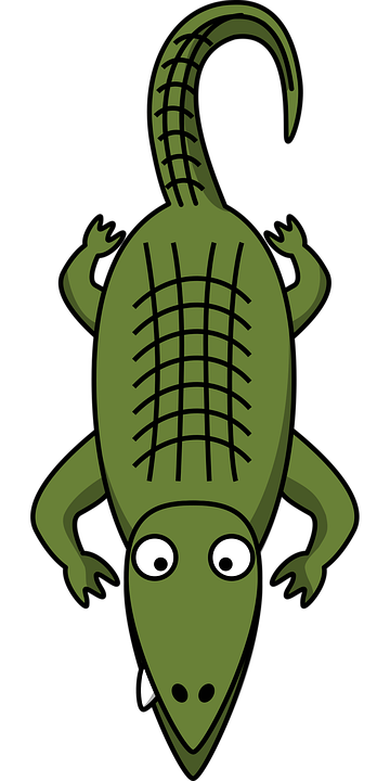 Download Alligator, Reptile, Crocodile. Royalty-Free Vector Graphic ...
