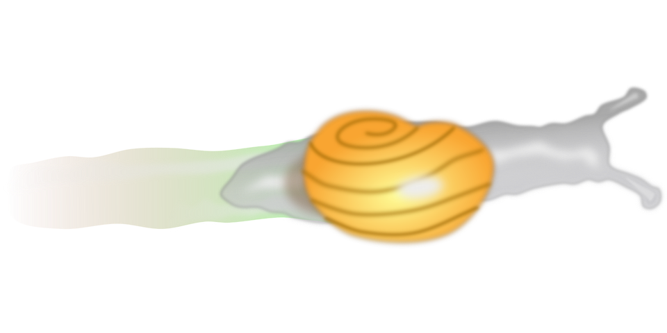 60+ Free Snail & Slow Vectors - Pixabay