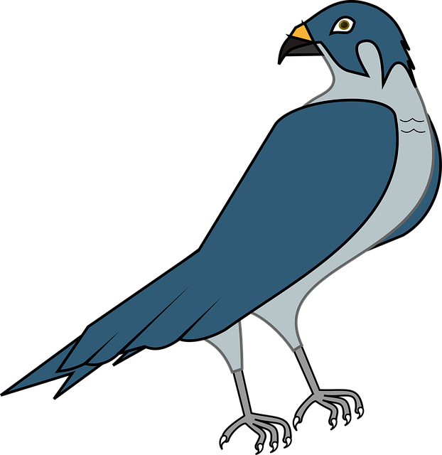 Download Goshawk, Hawk, Autumn. Royalty-Free Vector Graphic - Pixabay