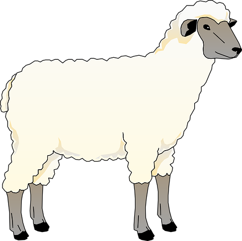 Over 200 Free Sheep Vectors - Pixabay