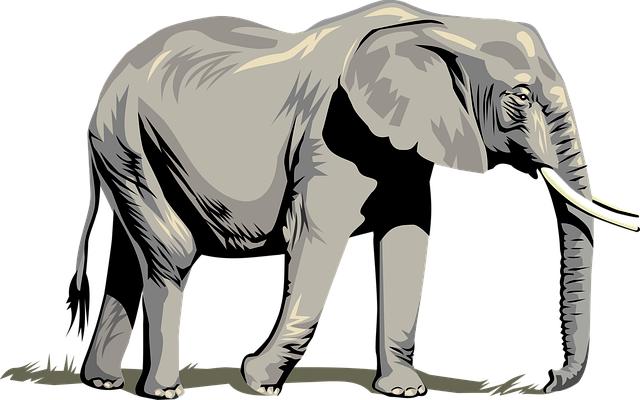 Download Elephant, Animal, Trunk. Royalty-Free Vector Graphic - Pixabay