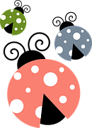 Ladybugs Beetles Insects - Free vector graphic on Pixabay