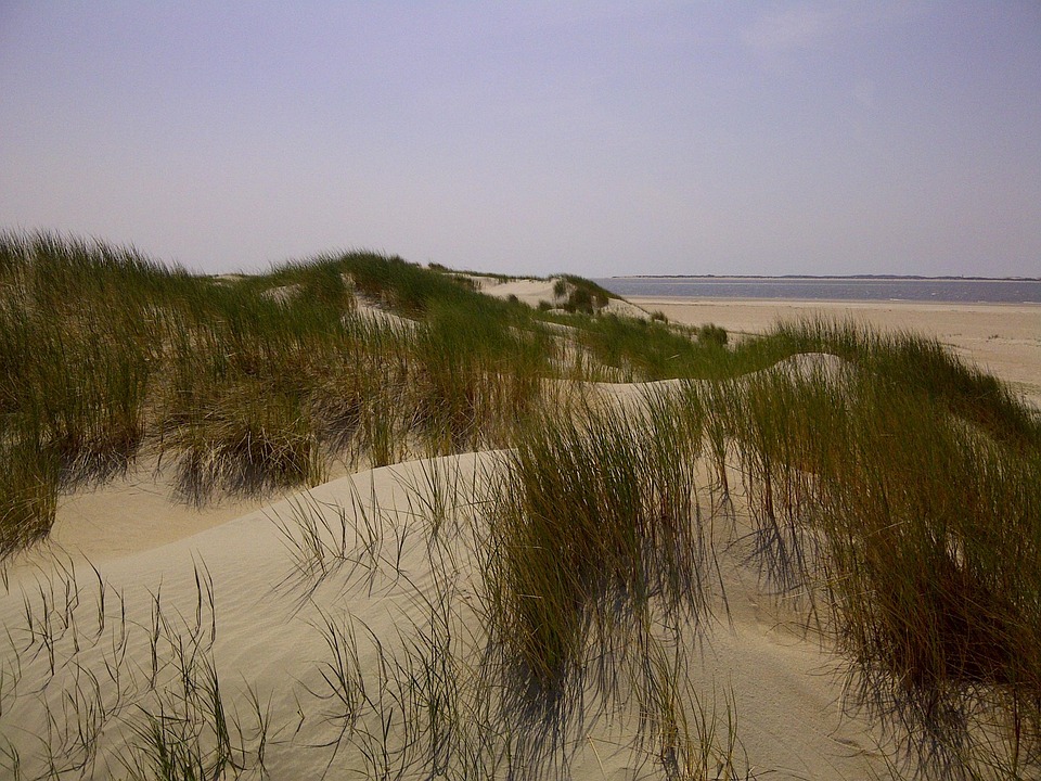 Sand Dunes North Sea Denmark - Free photo on Pixabay - Pixabay