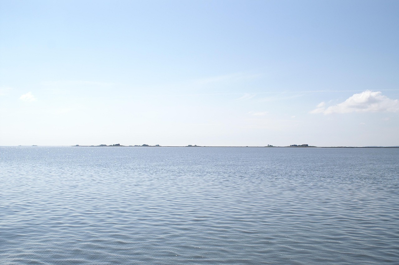Laut Utara Gema Kentang Goreng - Foto gratis di Pixabay - Pixabay