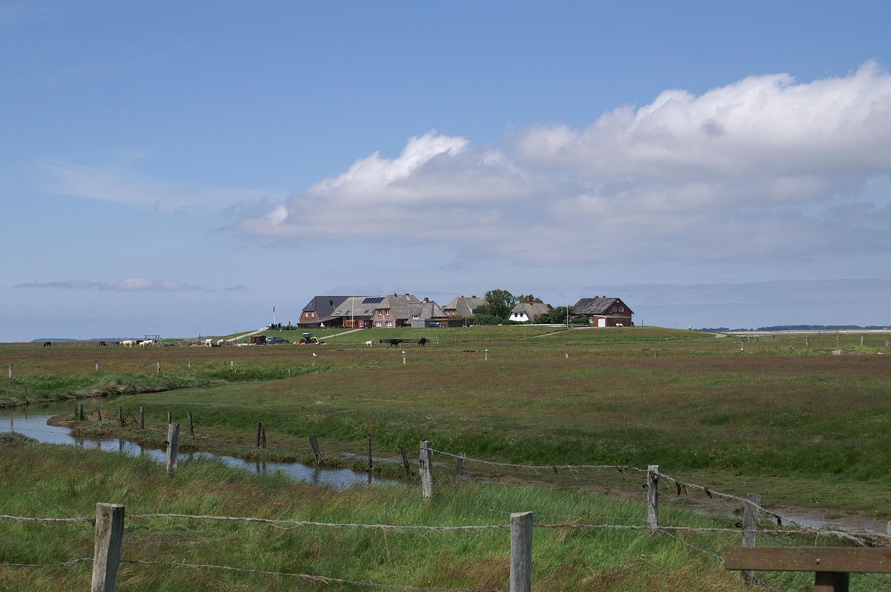 Echo North Friesland - Free photo on Pixabay