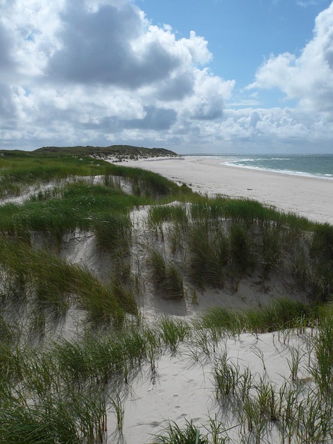 North Sea Sand Dunes Sylt - Free photo on Pixabay - Pixabay