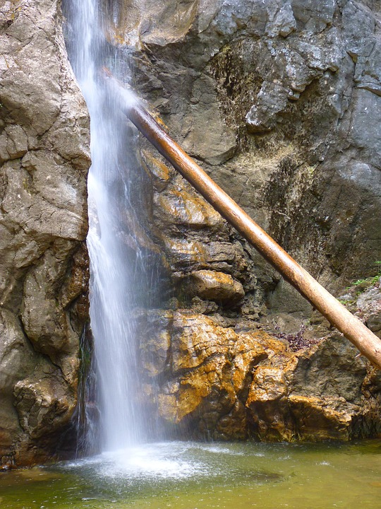 Waterfall Water Tree Trunk - Free photo on Pixabay - Pixabay