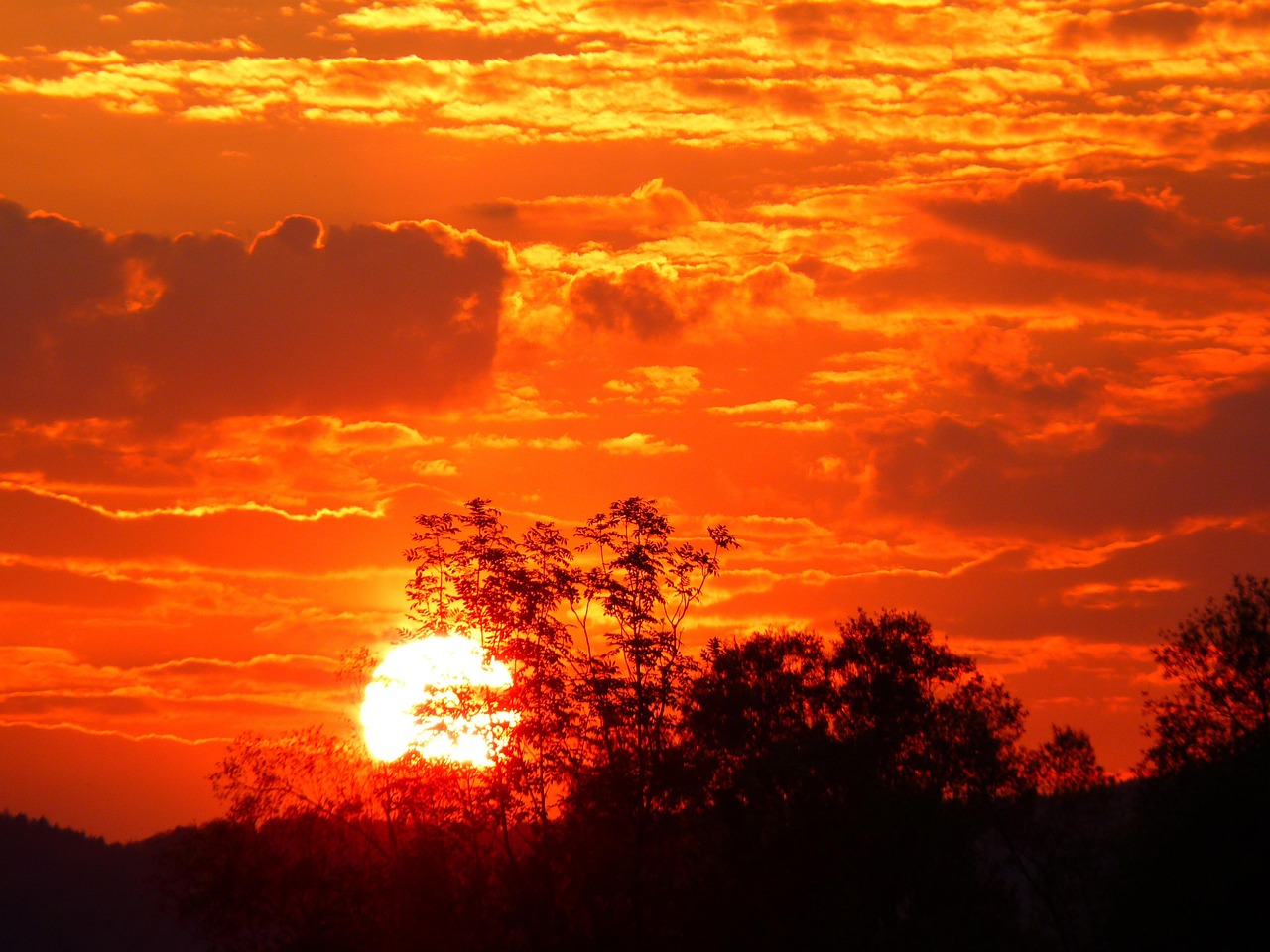 Sunset Trees Silhouette - Free photo on Pixabay