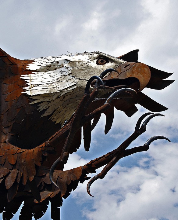 Eagle Bald Metal - Free photo on Pixabay - Pixabay
