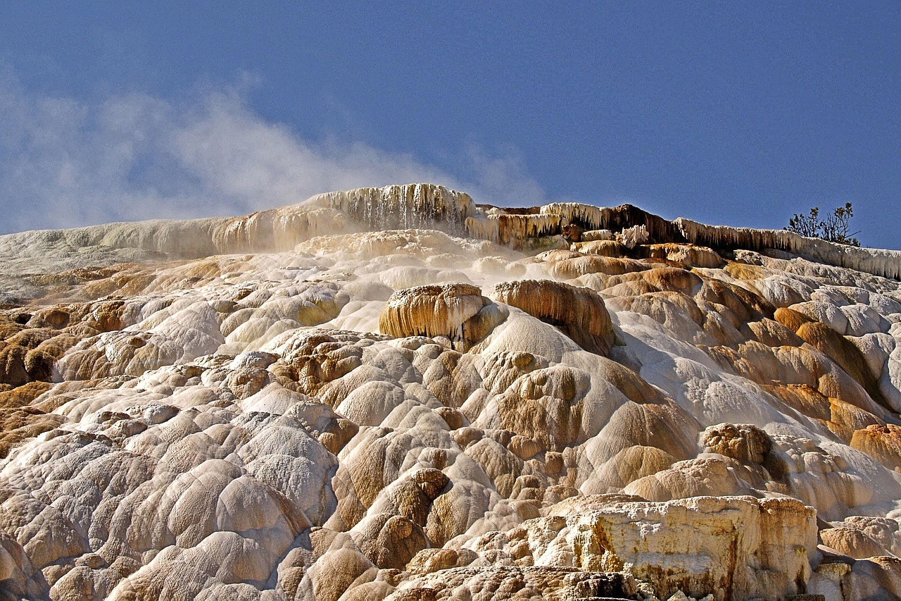 800+ Free Yellowstone National Park & Yellowstone Images - Pixabay