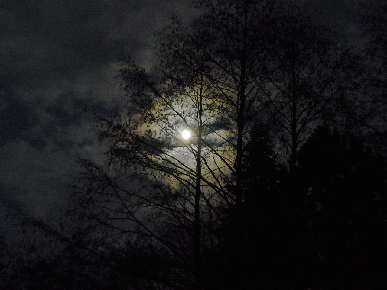 Moon At Night Moonlight Full - Free photo on Pixabay - Pixabay