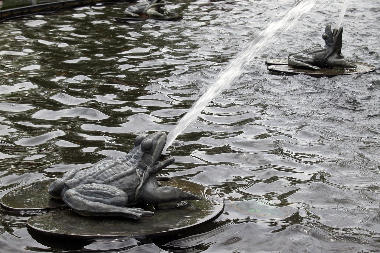 Frog Fountain Water - Free photo on Pixabay - Pixabay