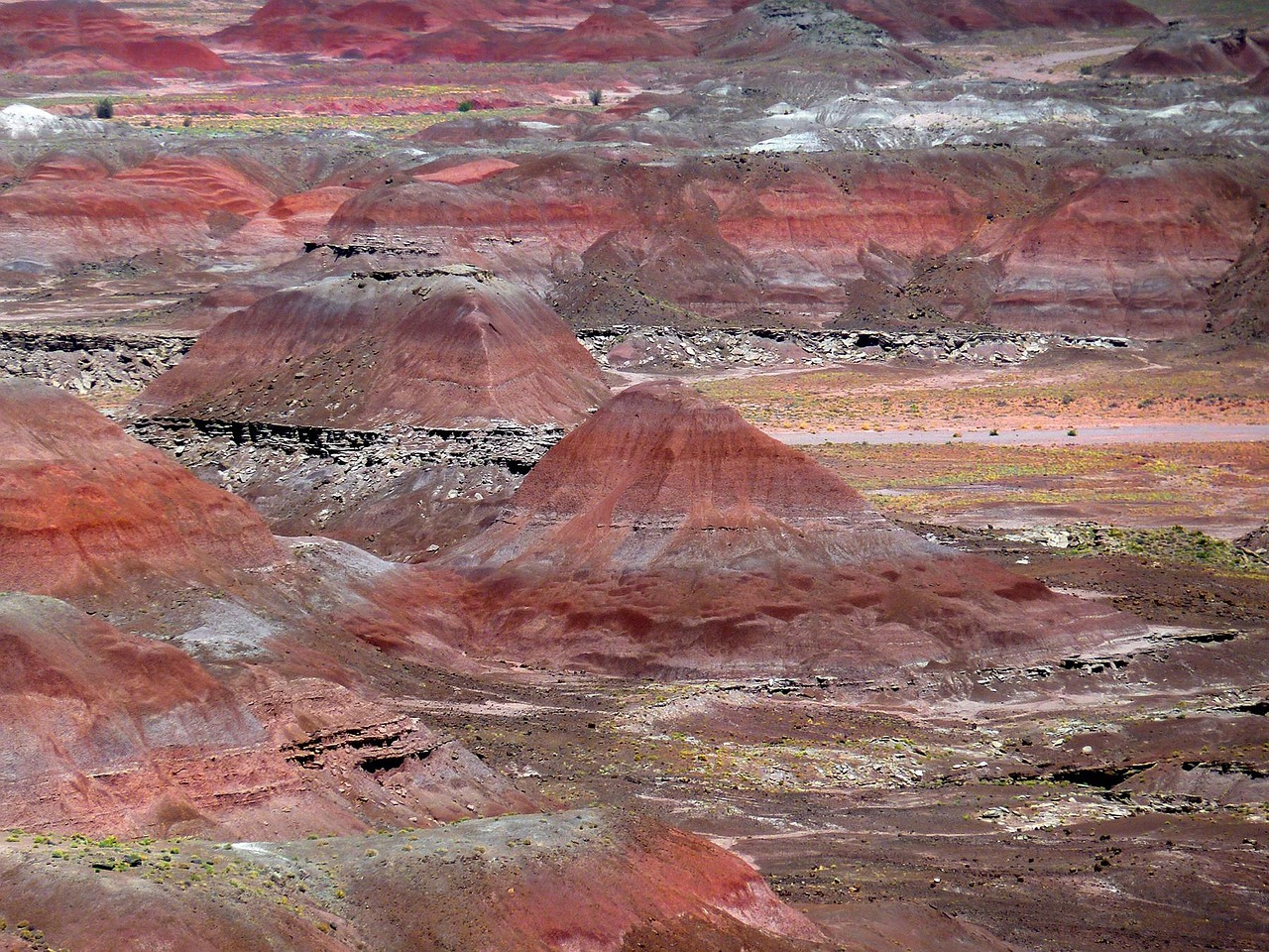 Geología Del Bosque Petrificado De Arizona